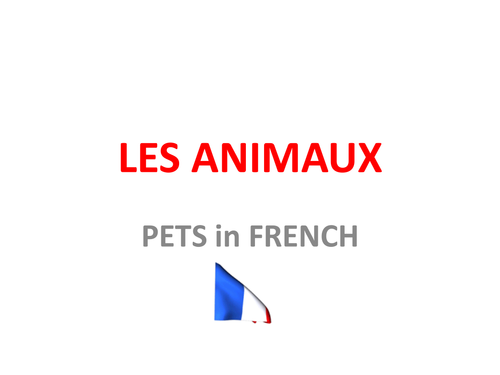 pets in French les animaux | Teaching Resources