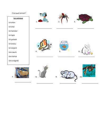 Les animaux | Teaching Resources