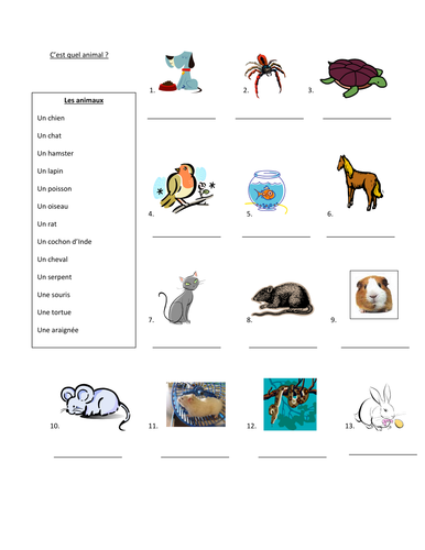 Les animaux | Teaching Resources