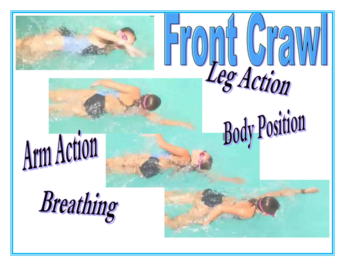 reciprocal teaching cards- Front/Back Crawl Swim | Teaching Resources