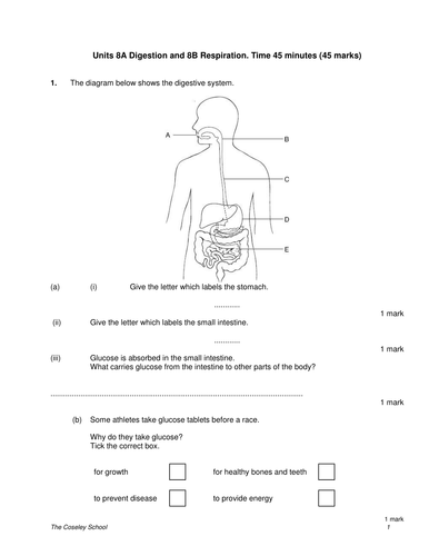 Respiration and food and digestion combined test | Teaching Resources