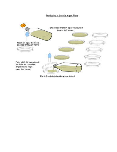 How to produce a sterile agar plate | Teaching Resources