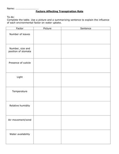 Factors Affecting Transpiration Rate Activity | Teaching Resources