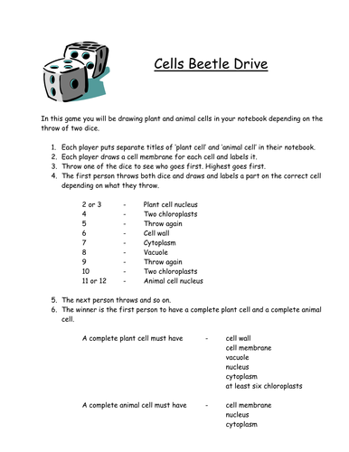 Cells Beetle Drive | Teaching Resources