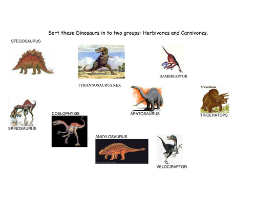 Dinosaur sorting activity | Teaching Resources