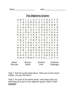 Digestive System Wordsearch | Teaching Resources