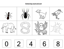Animal handouts | Teaching Resources