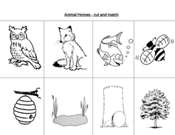 Animal handouts | Teaching Resources