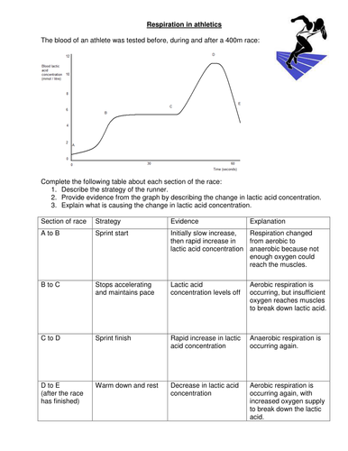 Respiration in athletics worksheet | Teaching Resources