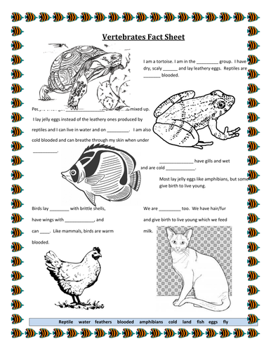 SEN classification worksheet. | Teaching Resources