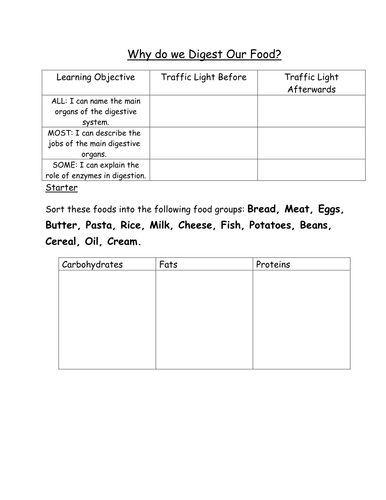 Digestion and Enzymes | Teaching Resources