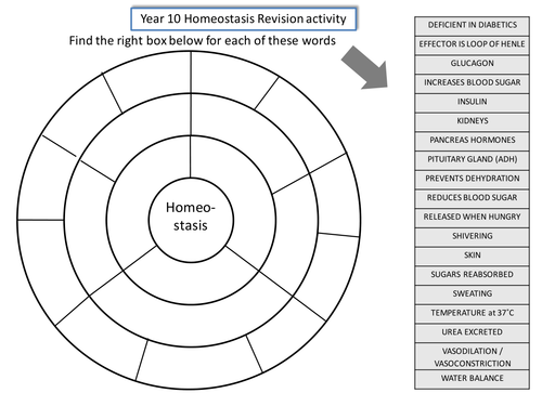 Homeostasis Word Game | Teaching Resources