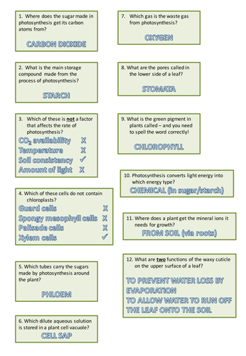 Photosynthesis switch switch game | Teaching Resources