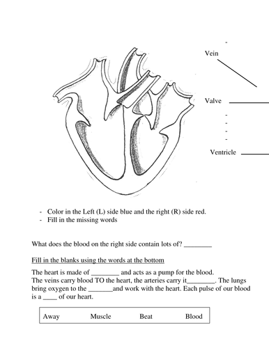 Healthy living | Teaching Resources