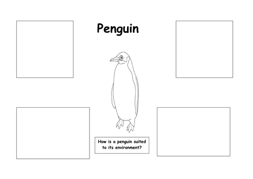 Penguin - suited to its environment | Teaching Resources