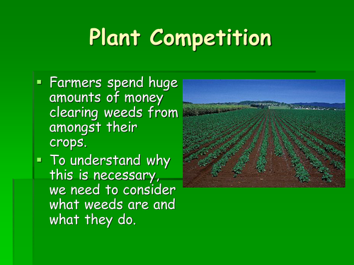 Plant competition | Teaching Resources