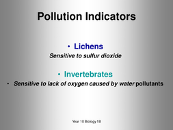 Lichens-Pollution Indicator Species | Teaching Resources