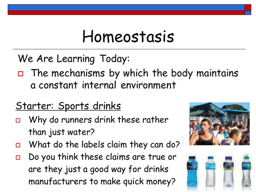 In control: Homeostasis | Teaching Resources
