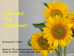 Sam and the Sunflower | Teaching Resources