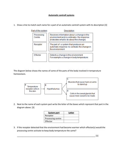Homeostasis lesson plan + worksheet | Teaching Resources