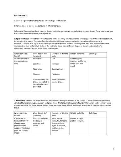 Cells and Levels of organization | Teaching Resources