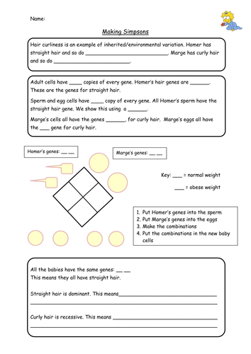 Mendelian Genetics with the Simpsons | Teaching Resources