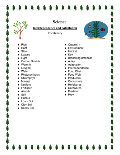 Vocabulary Display Interdependence | Teaching Resources