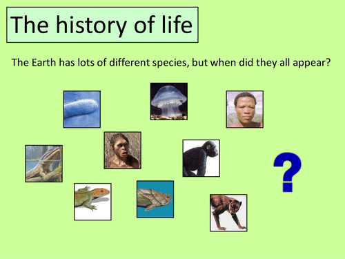 Evolution of life | Teaching Resources