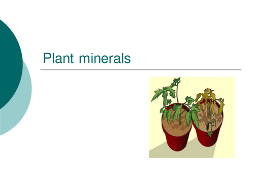 Plant minerals | Teaching Resources