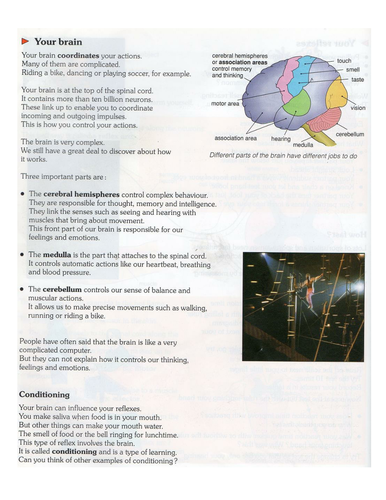 Nervous System | Teaching Resources