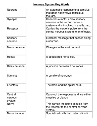 Nervous System | Teaching Resources