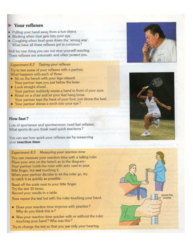 Nervous System | Teaching Resources