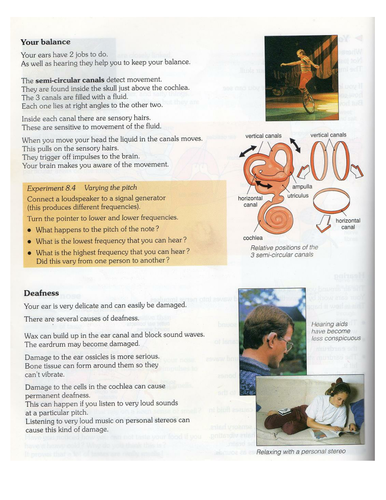 Nervous System | Teaching Resources