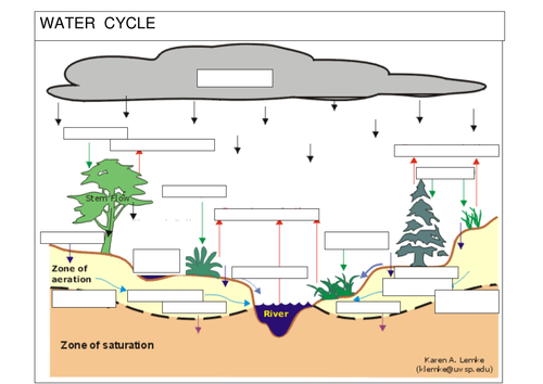 Water World - Lesson 3 -Where Does Water Come From | Teaching Resources