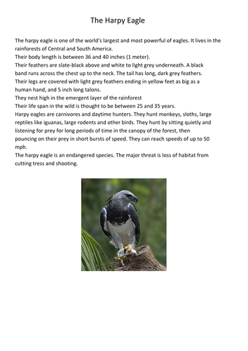 The Amazon Rainforest | Teaching Resources