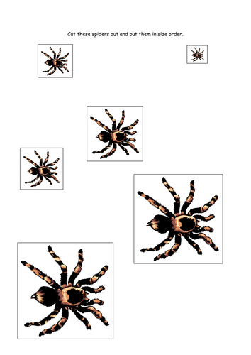 Aaaarrgghh; Spider! Teaching Resources | Teaching Resources