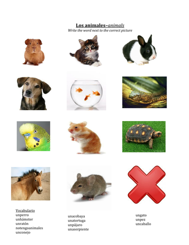 Los animales | Teaching Resources