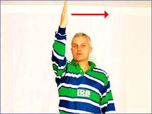 Rugby Ref Signals | Teaching Resources