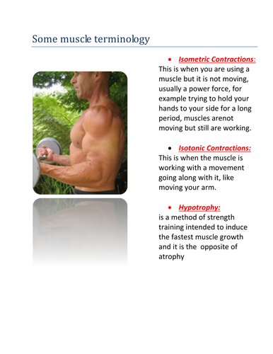 Some muscle terminology | Teaching Resources