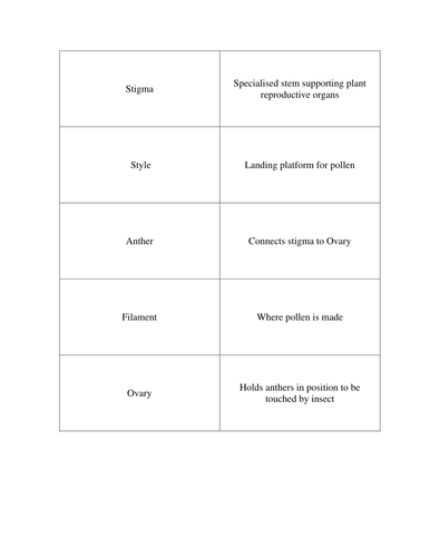Plants cell structure dominoes | Teaching Resources