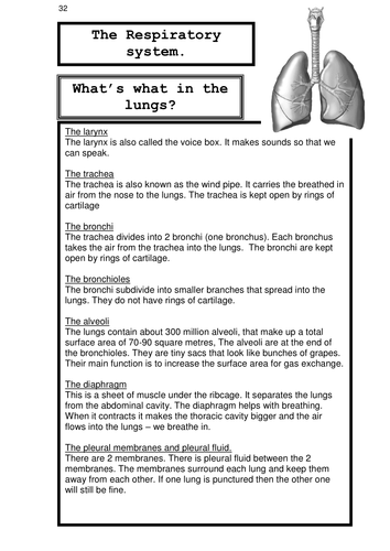 RESPIRATION handout | Teaching Resources