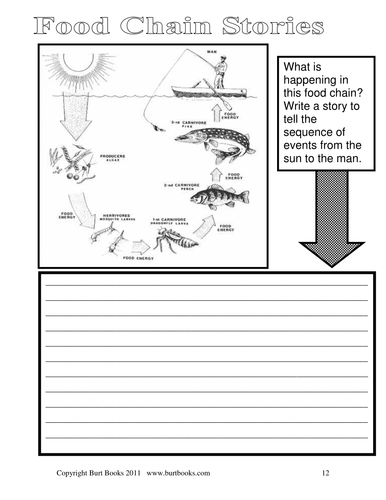 Where does our food come from Food chain | Teaching Resources