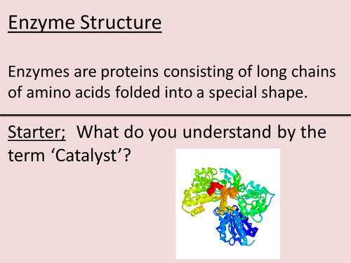 Enzyme Structure | Teaching Resources