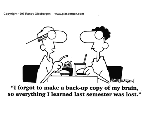 The Brain | Teaching Resources