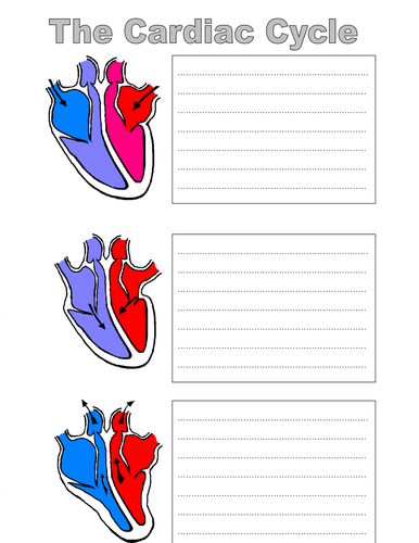 Cardiac Cycle | Teaching Resources