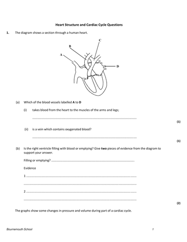 Cardiac Cycle | Teaching Resources