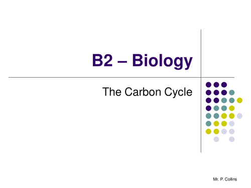 The Carbon Cycle | Teaching Resources