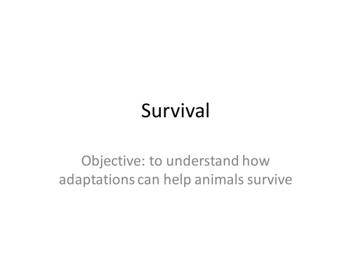 Survival and adaptations | Teaching Resources