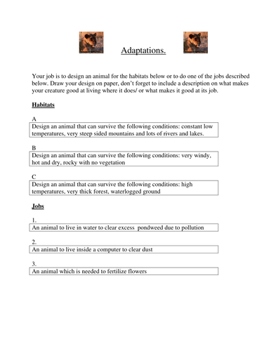 Adaptations | Teaching Resources