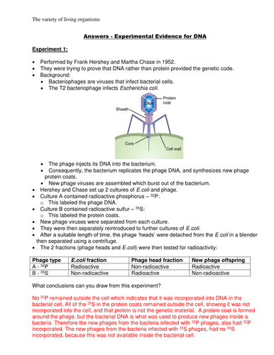 Experimental Evidence for DNA | Teaching Resources